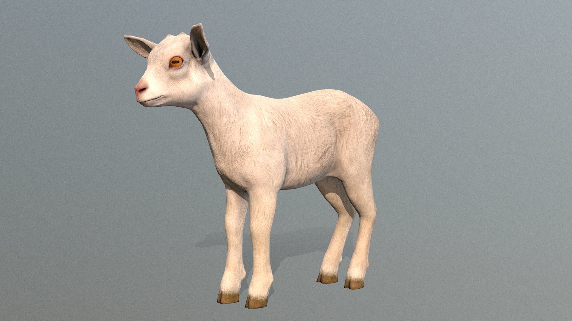 Goatling Model - TurboSquid 1938356