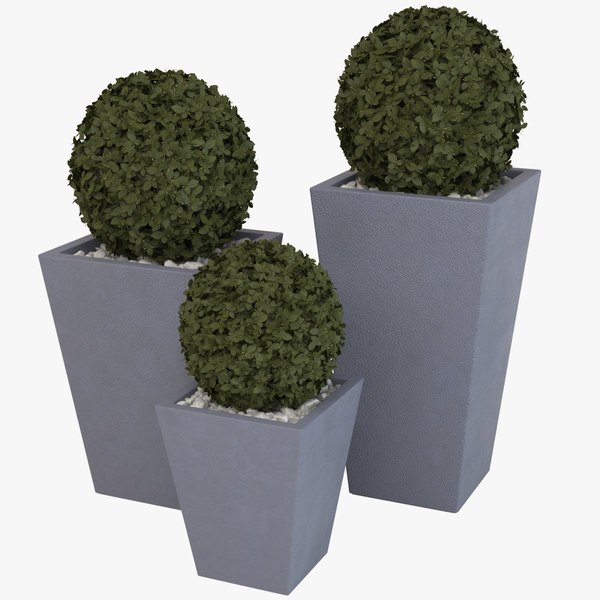 Generic green tree 3D model - TurboSquid 1428503
