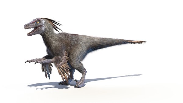 modelo 3d Velociraptor - TurboSquid 1590495