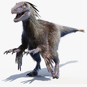 Download Free & Premium Velociraptor 3D Models | TurboSquid