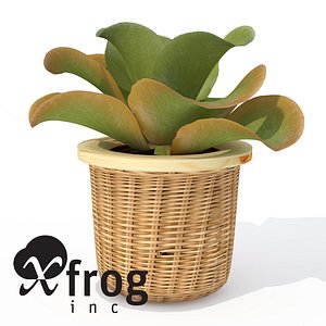 modelo 3d XfrogPlants Hachiku Bamboo gratis - TurboSquid 286895