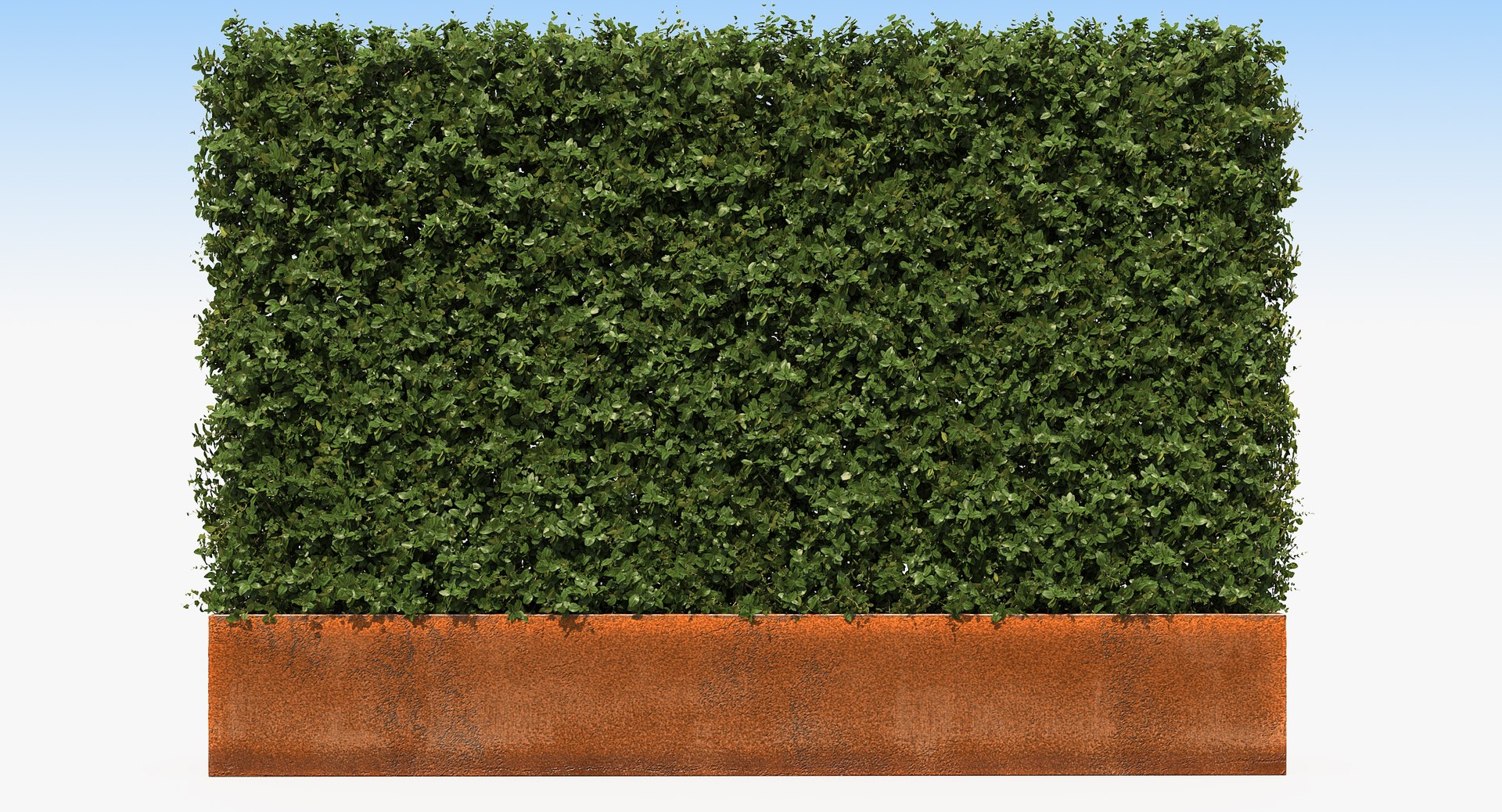 Boxwood Plants Hedges Rusted Steel Max