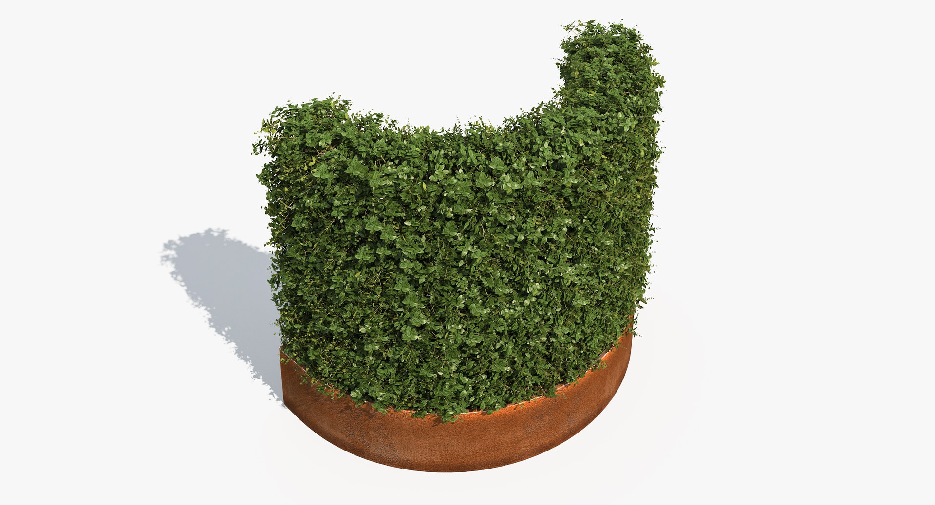 Boxwood Plants Hedges Rusted Steel Max