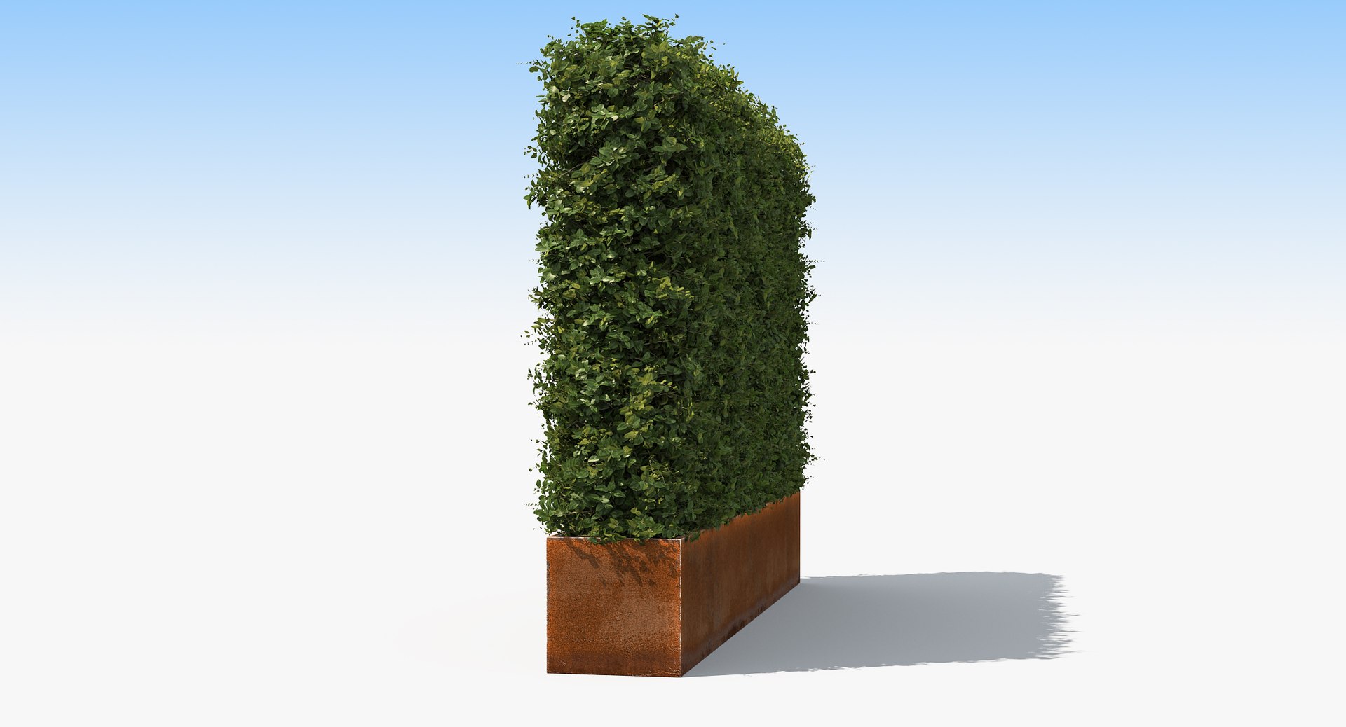 Boxwood Plants Hedges Rusted Steel Max