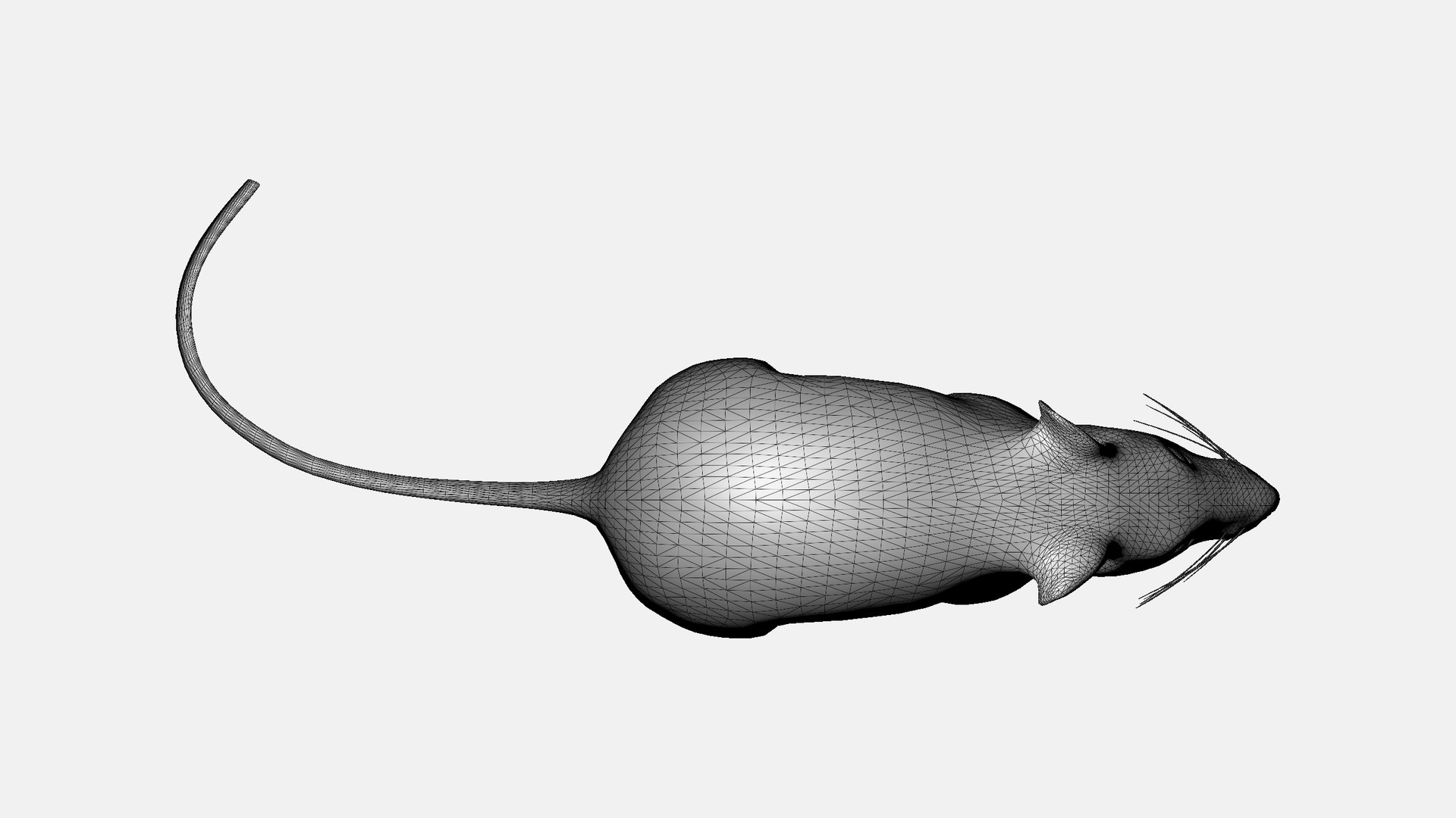 Mouse 3D Model - TurboSquid 2305720