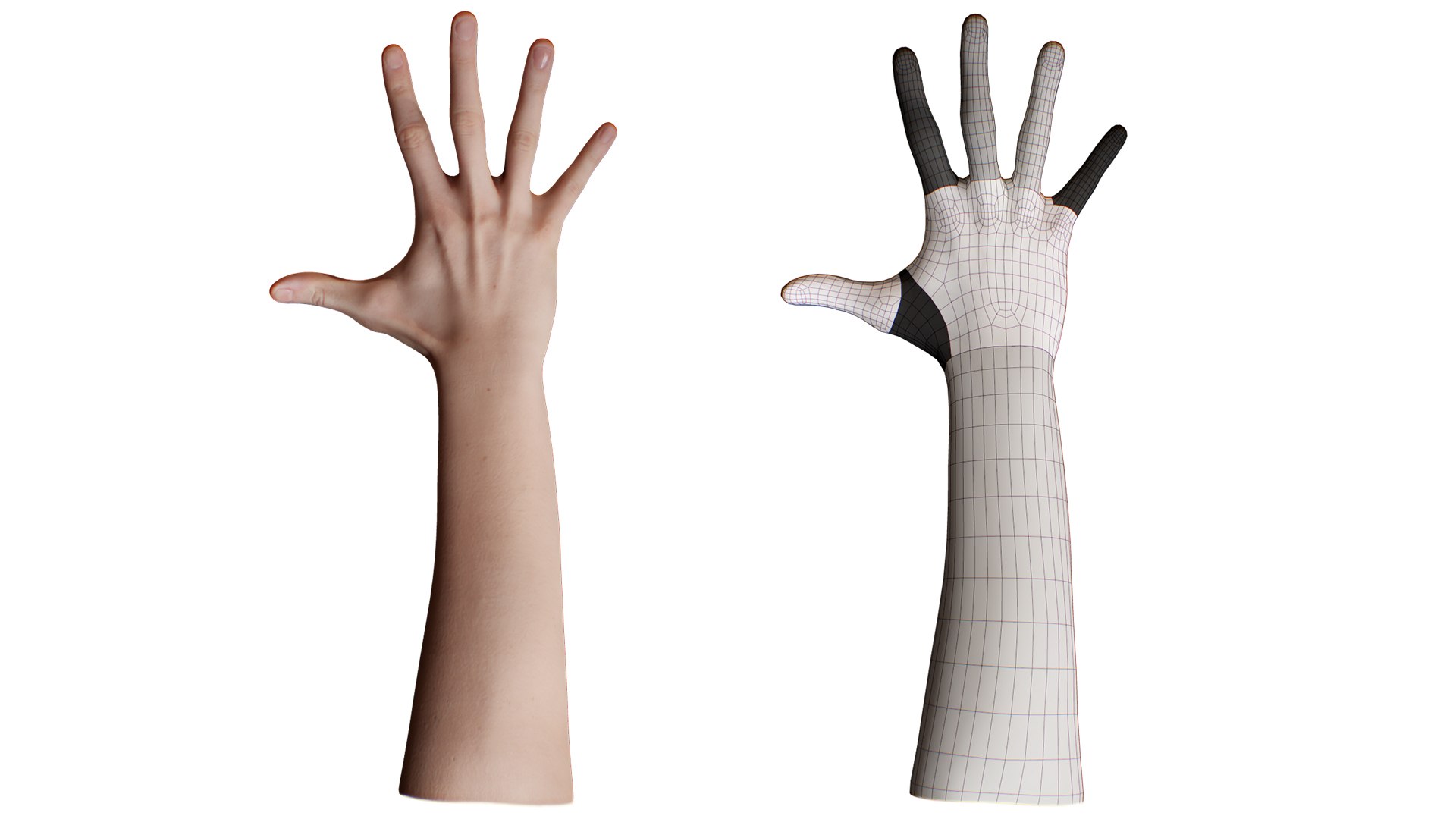 Retopologized Hand Scan Noah George 3D - TurboSquid 1811250