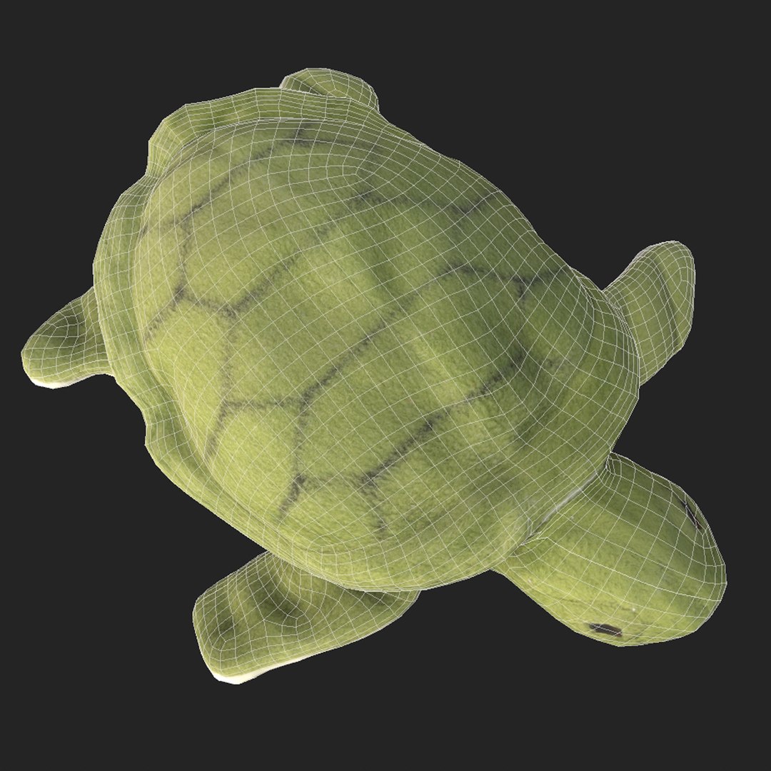 Turtle Soft Toy 3D Model - TurboSquid 2022048