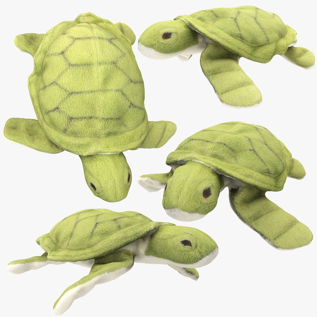 Turtle soft toy 3D model - TurboSquid 2022048