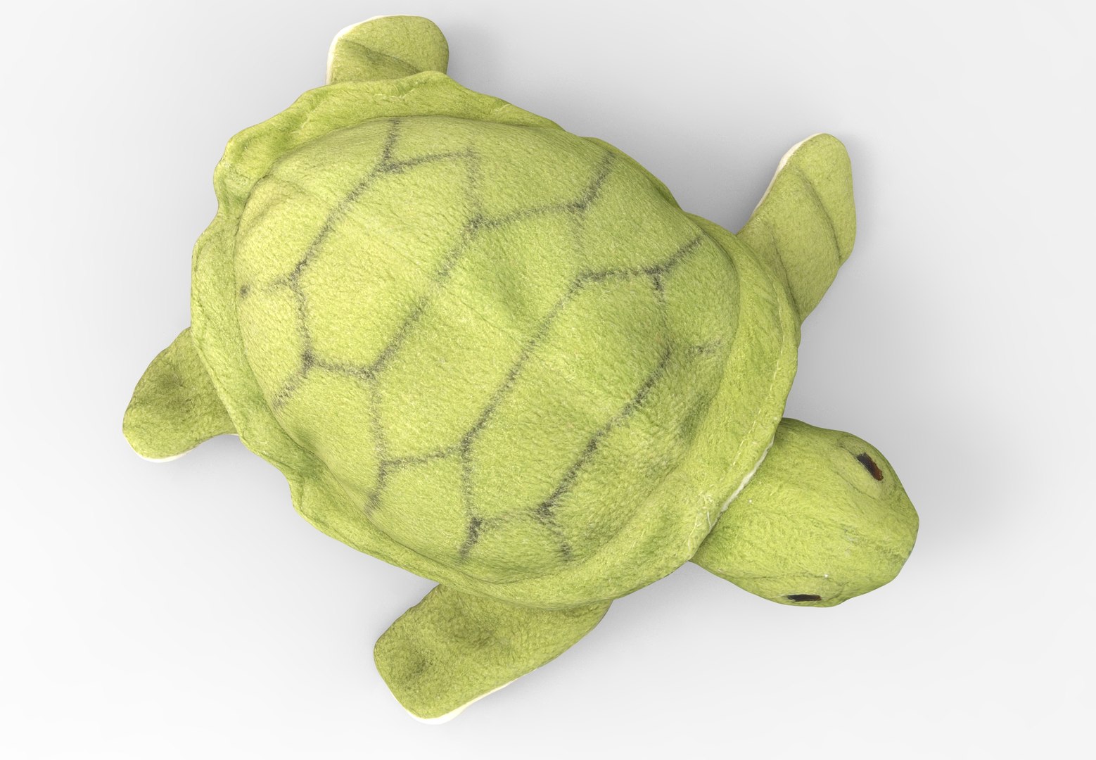 Turtle Soft Toy 3D Model - TurboSquid 2022048