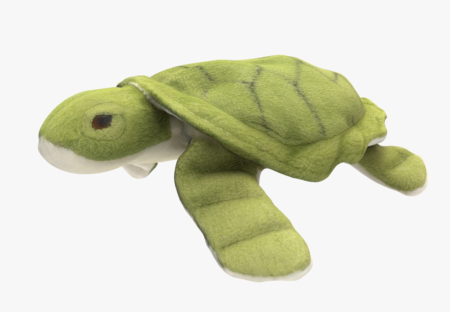 Turtle Soft Toy 3D Model - TurboSquid 2022048