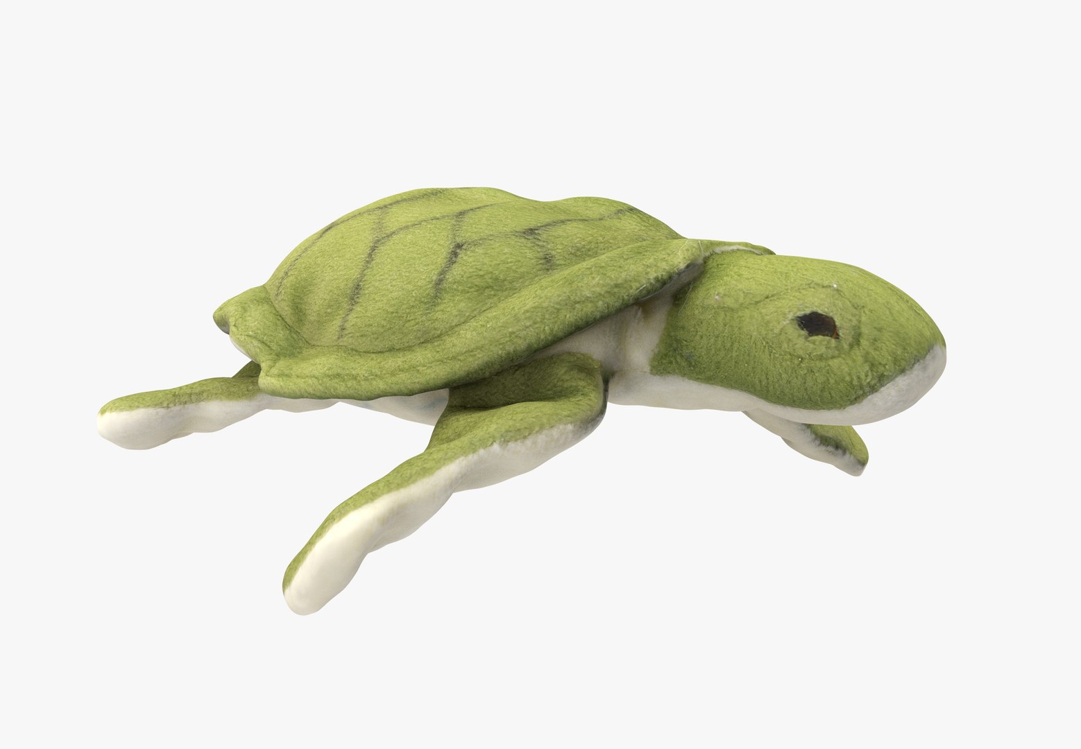 Turtle Soft Toy 3D Model - TurboSquid 2022048