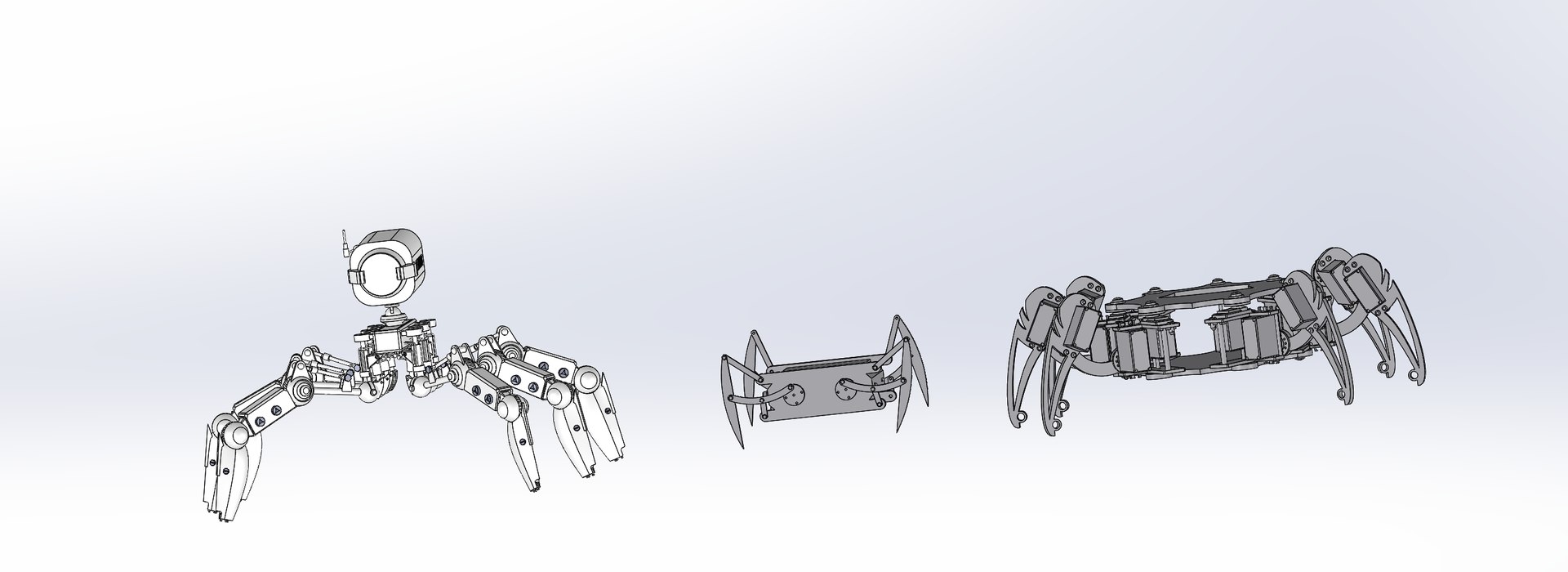 Spider Bionic Robot Model - TurboSquid 1583811