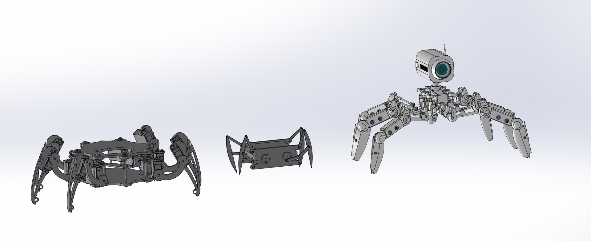 Spider Bionic Robot Model - TurboSquid 1583811
