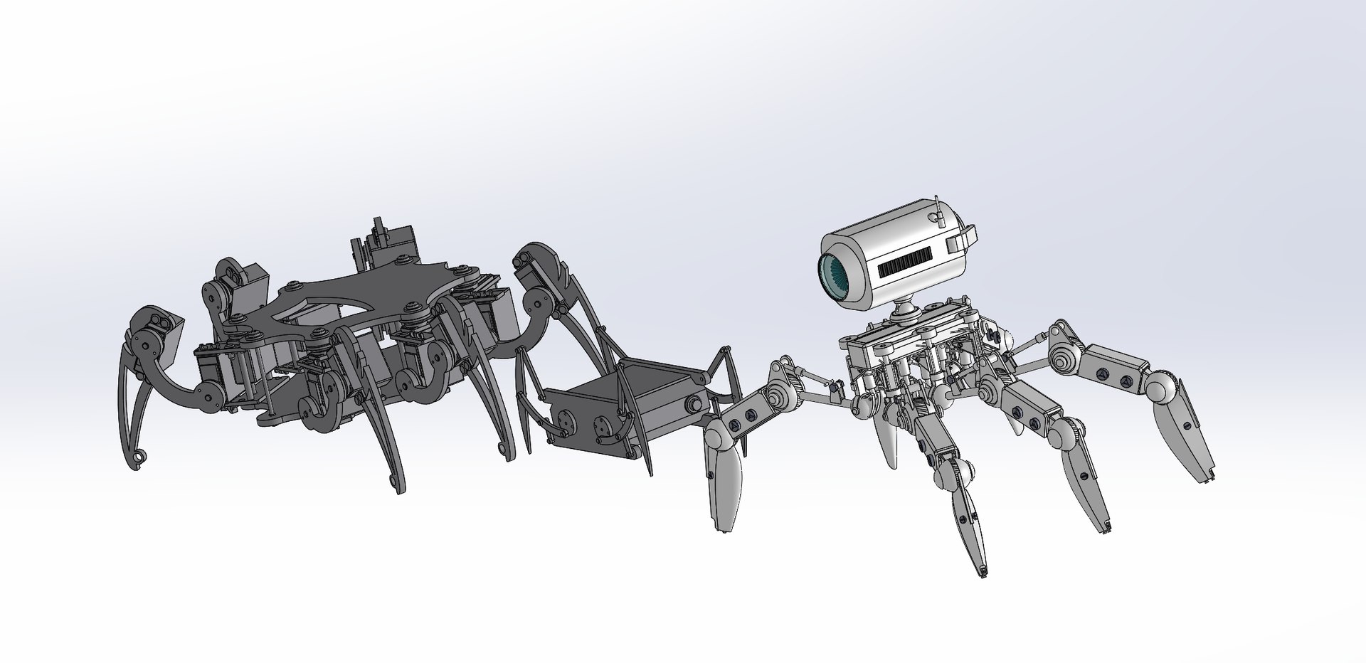 Spider Bionic Robot Model - TurboSquid 1583811