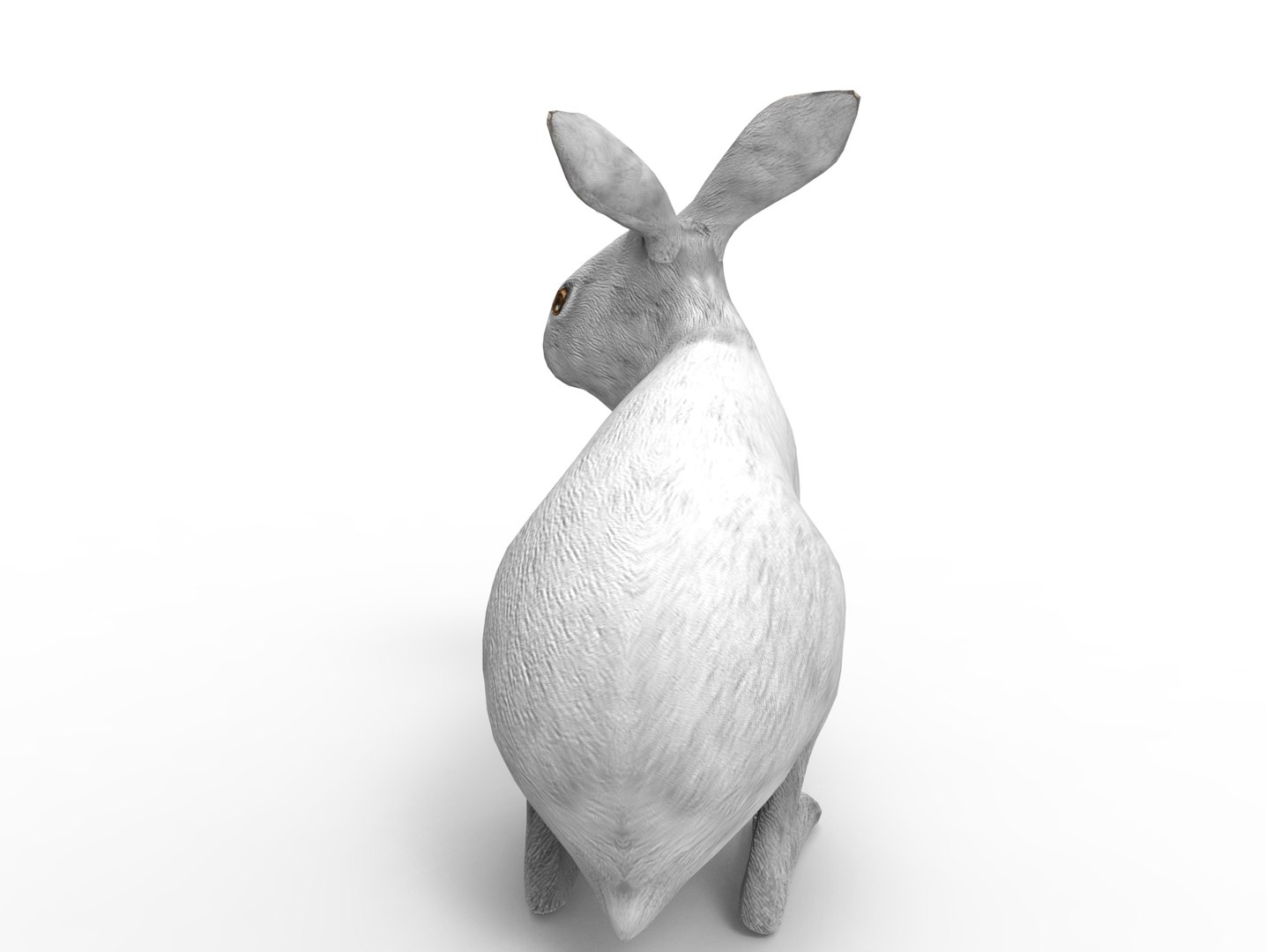 Rabbit Rigged 3D Model - TurboSquid 1198719