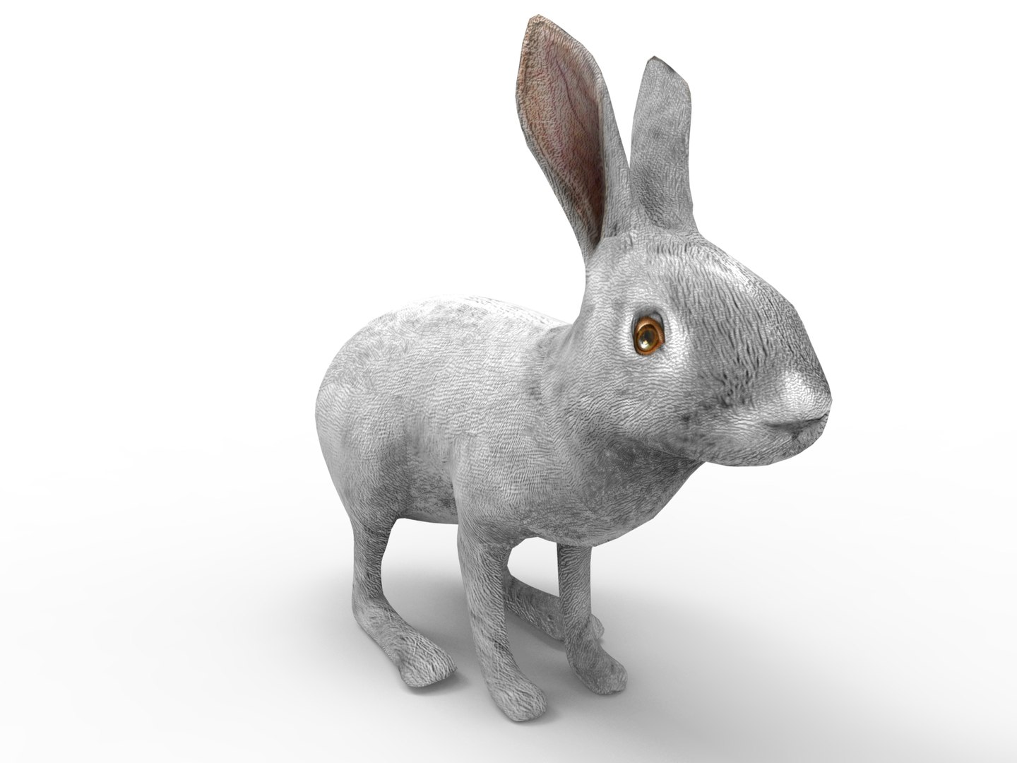Rabbit Rigged 3D Model - TurboSquid 1198719