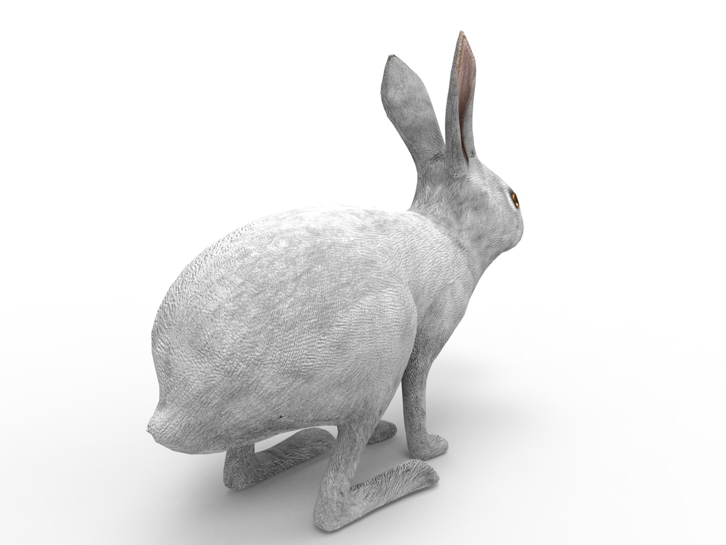 Rabbit Rigged 3D Model - TurboSquid 1198719