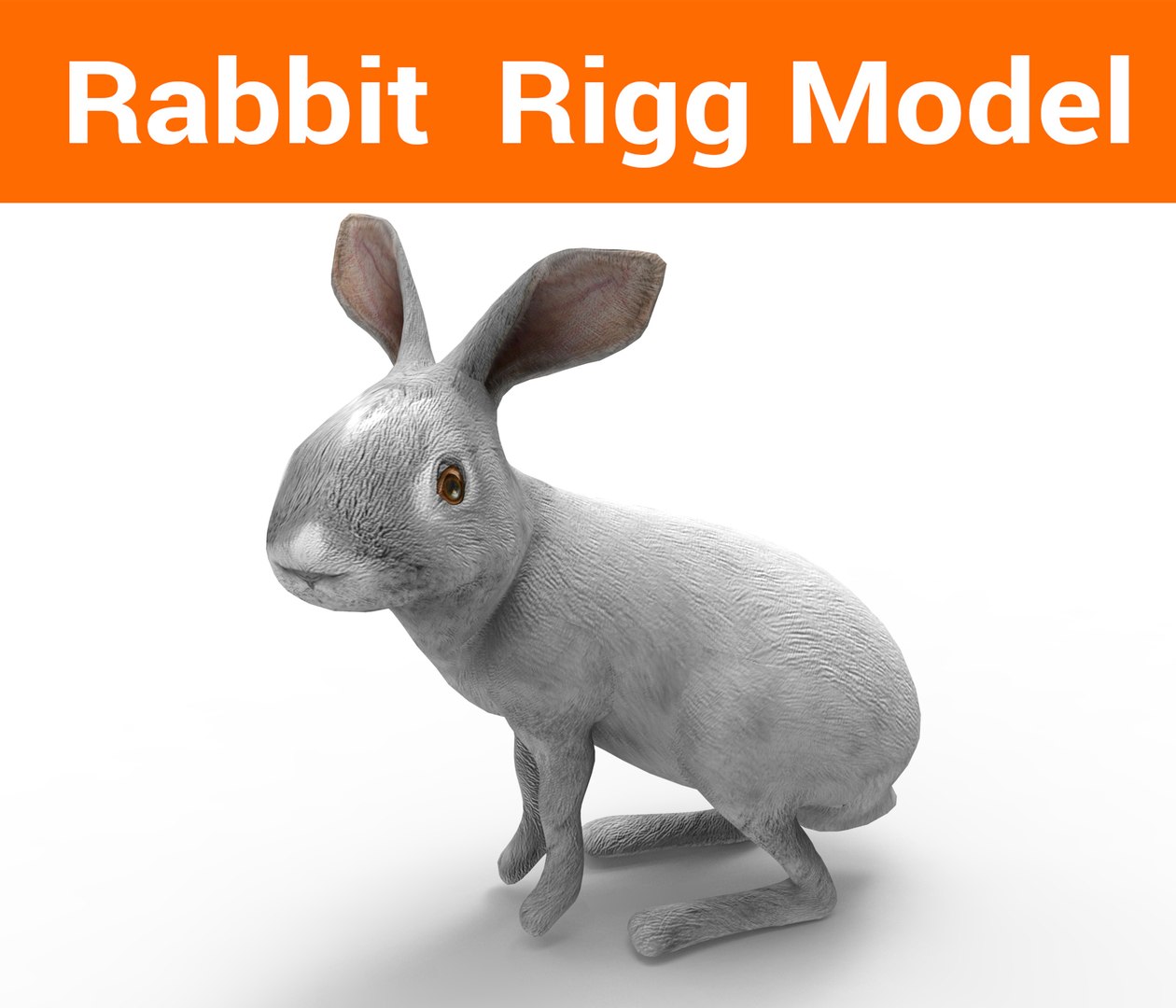 Rabbit rigged 3D model - TurboSquid 1198719