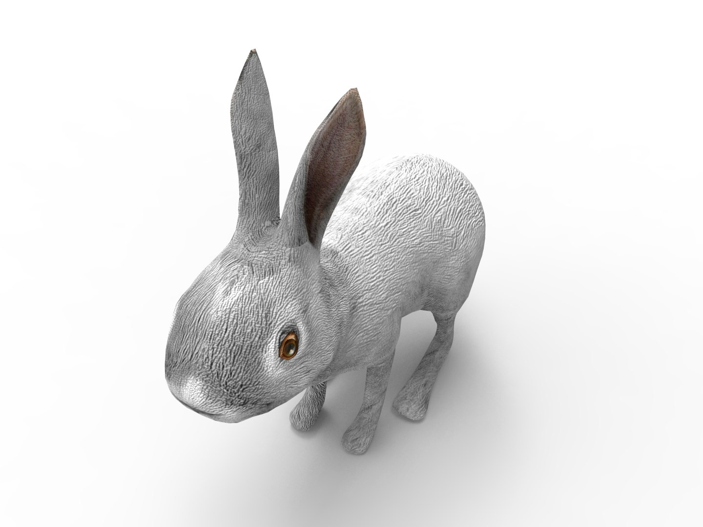 Rabbit Rigged 3D Model - TurboSquid 1198719
