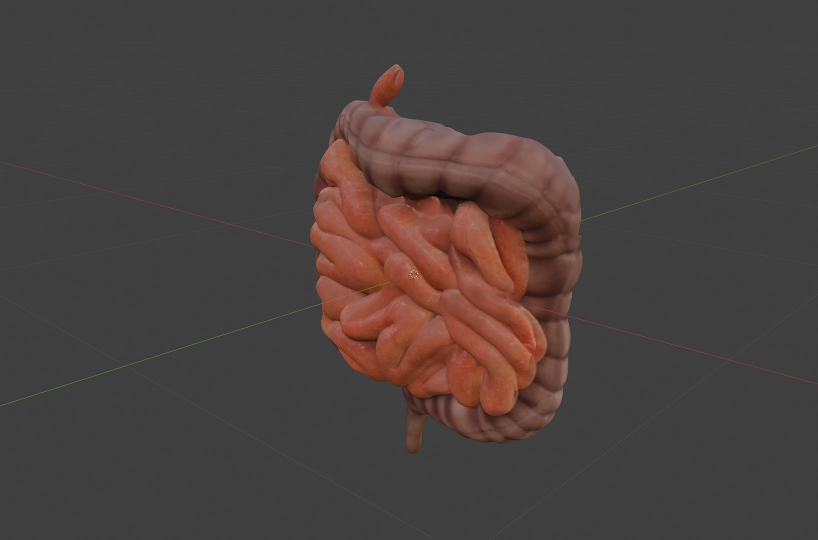 3D Model Intestines - TurboSquid 2261389