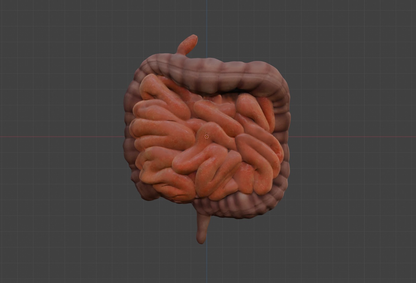 3D Model Intestines - TurboSquid 2261389