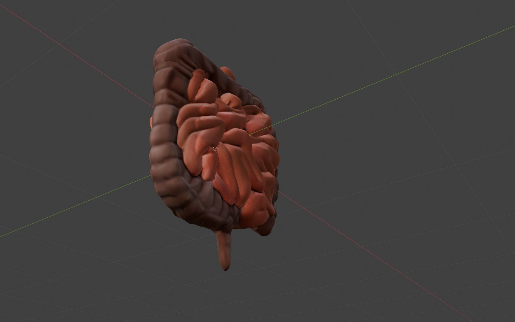 3D Model Intestines - TurboSquid 2261389