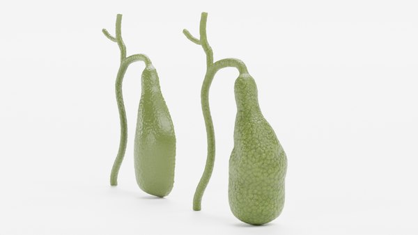 3D Gallbladder and Gallbladder Section model - TurboSquid 1756726