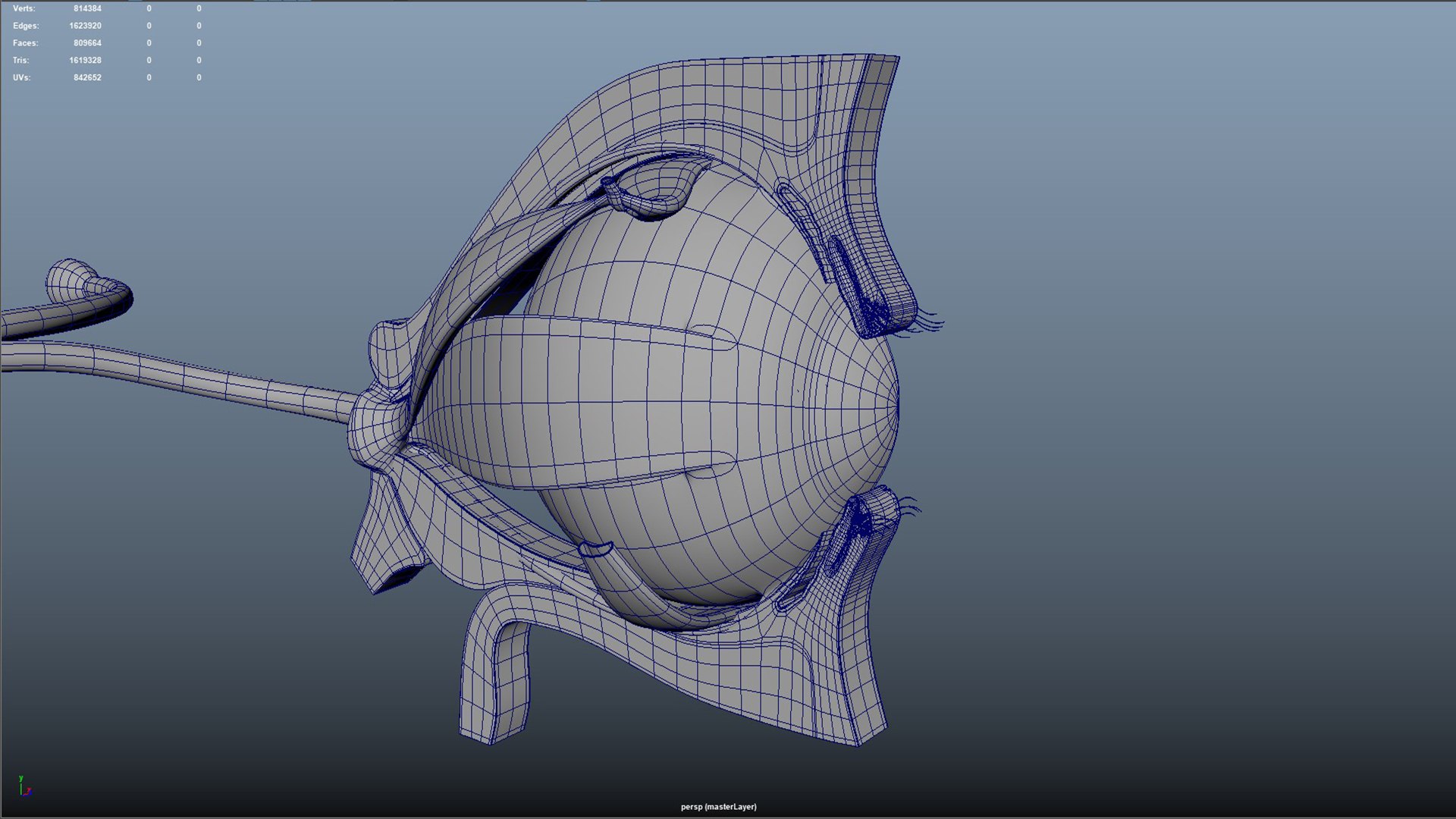 3D Human Eye Cross Section - TurboSquid 2192278