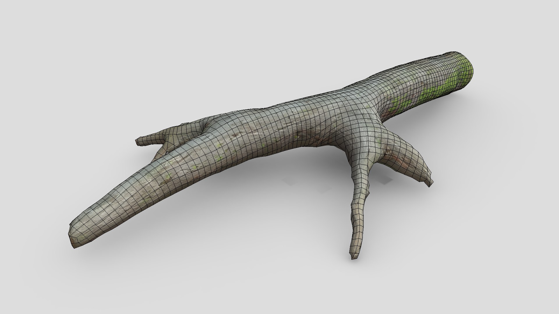 Fallen Tree 5 3D - TurboSquid 2249773