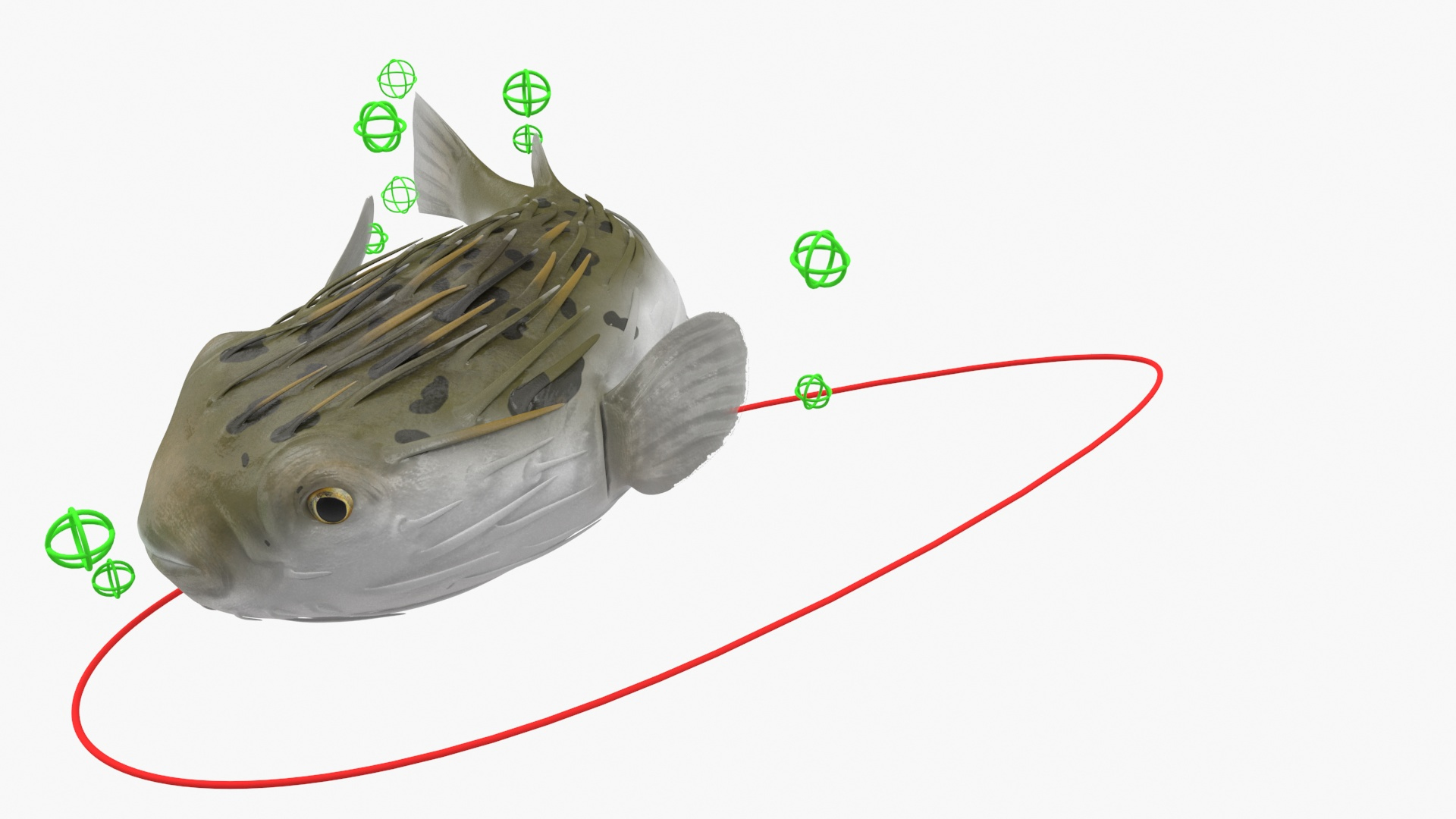 Puffer Fish Rigged Model - TurboSquid 2189679