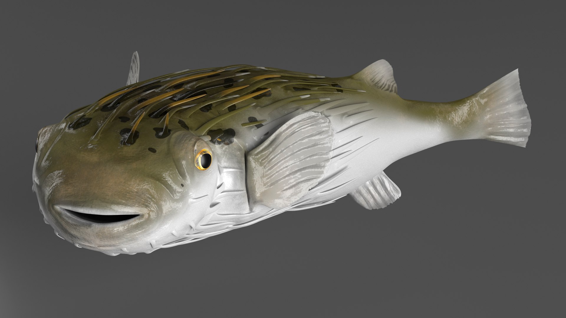 Puffer Fish Rigged Model - TurboSquid 2189679