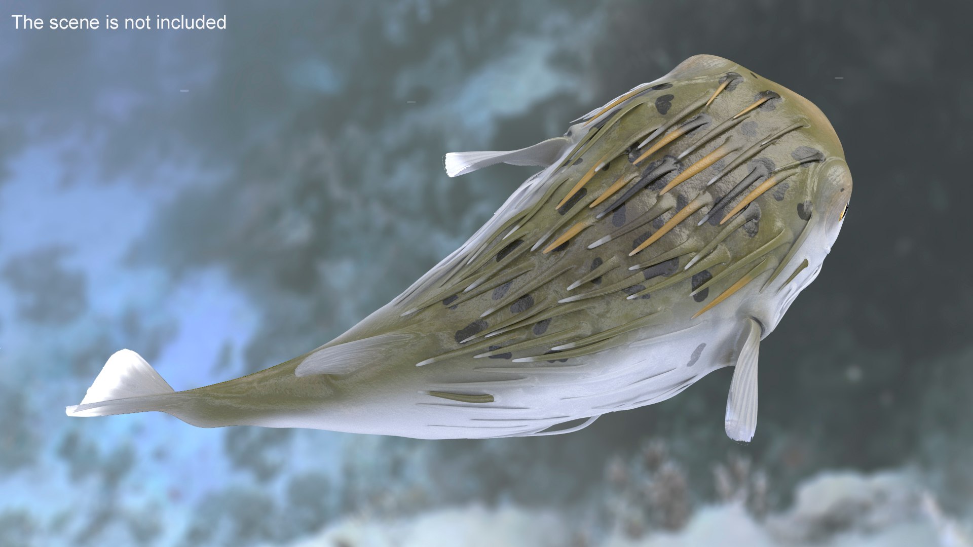 Puffer Fish Rigged Model - TurboSquid 2189679