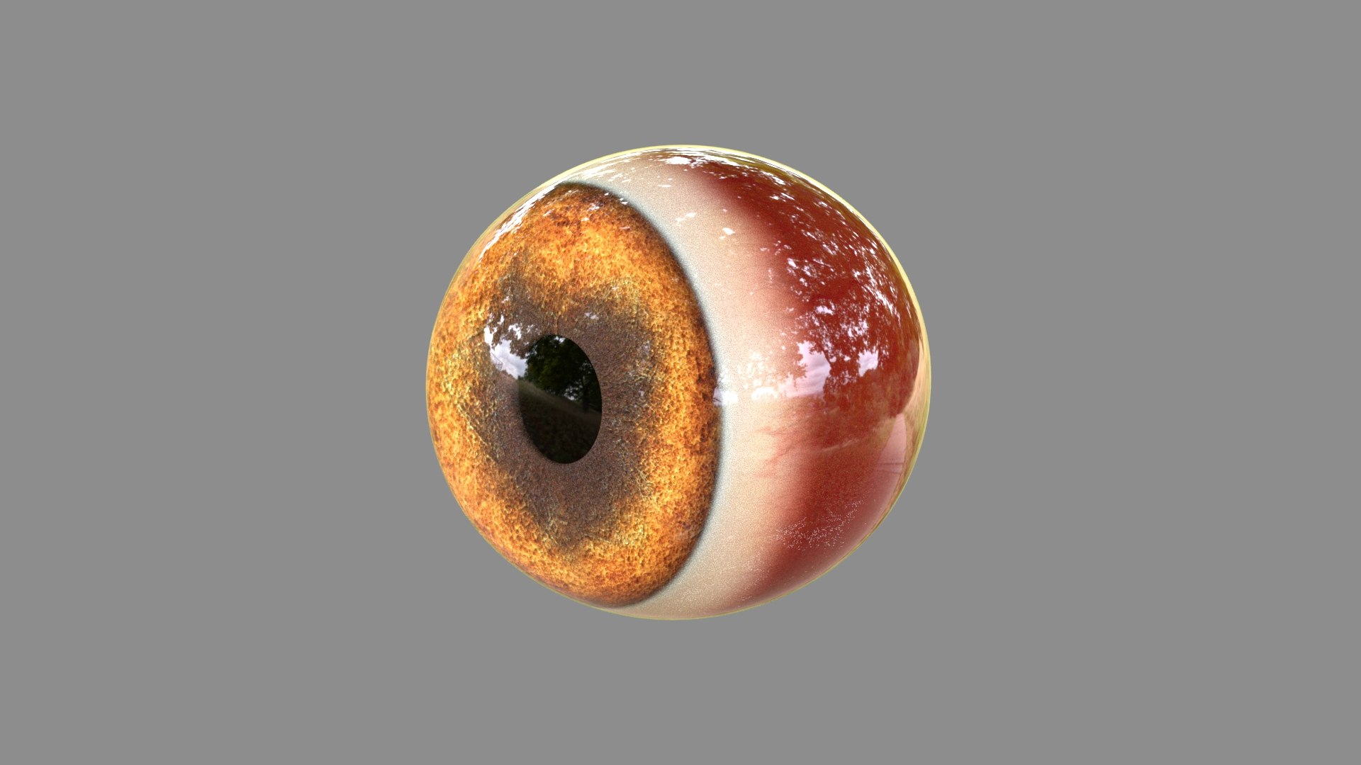 3D Realistic Dog Eye - TurboSquid 1546783