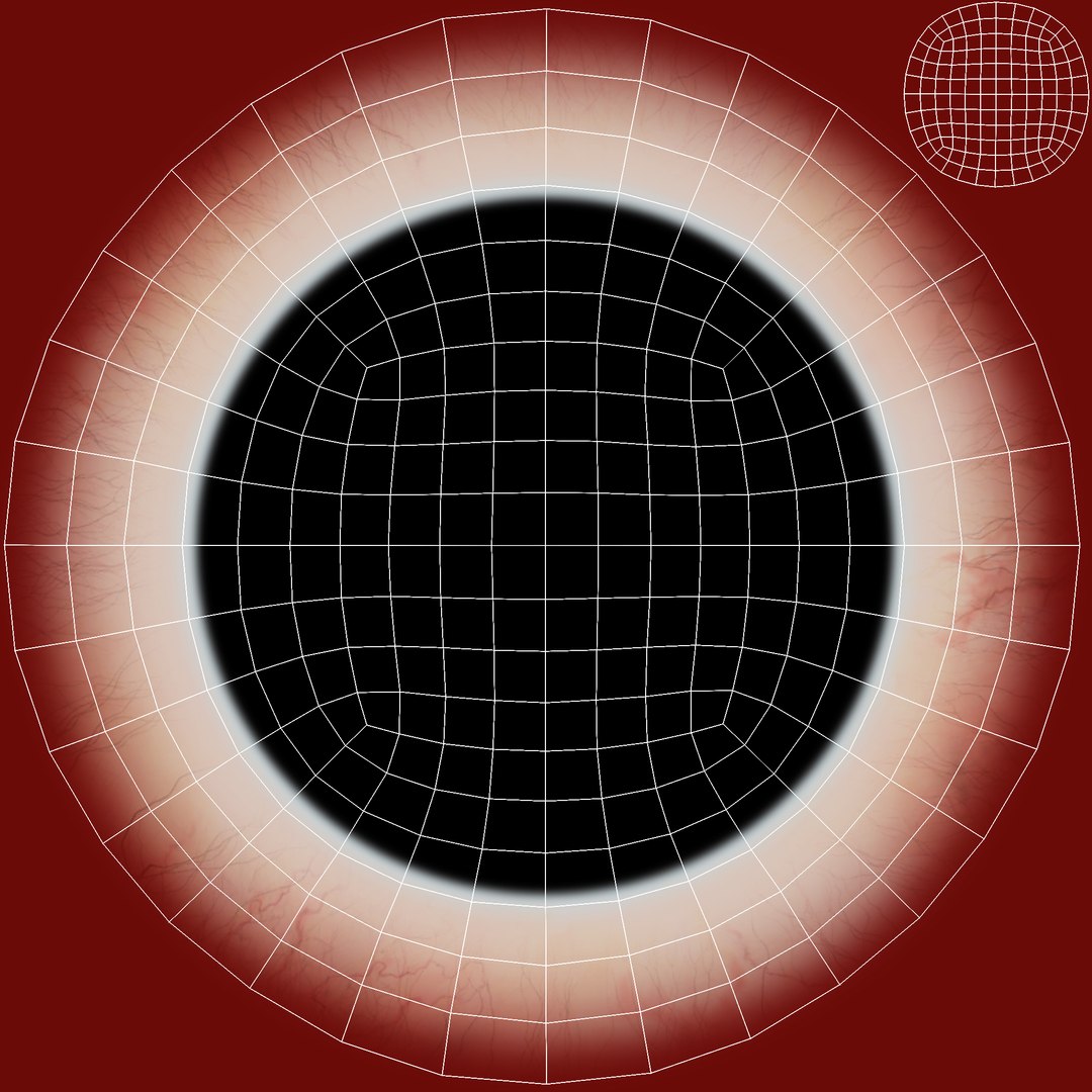 3D Realistic Dog Eye - TurboSquid 1546783