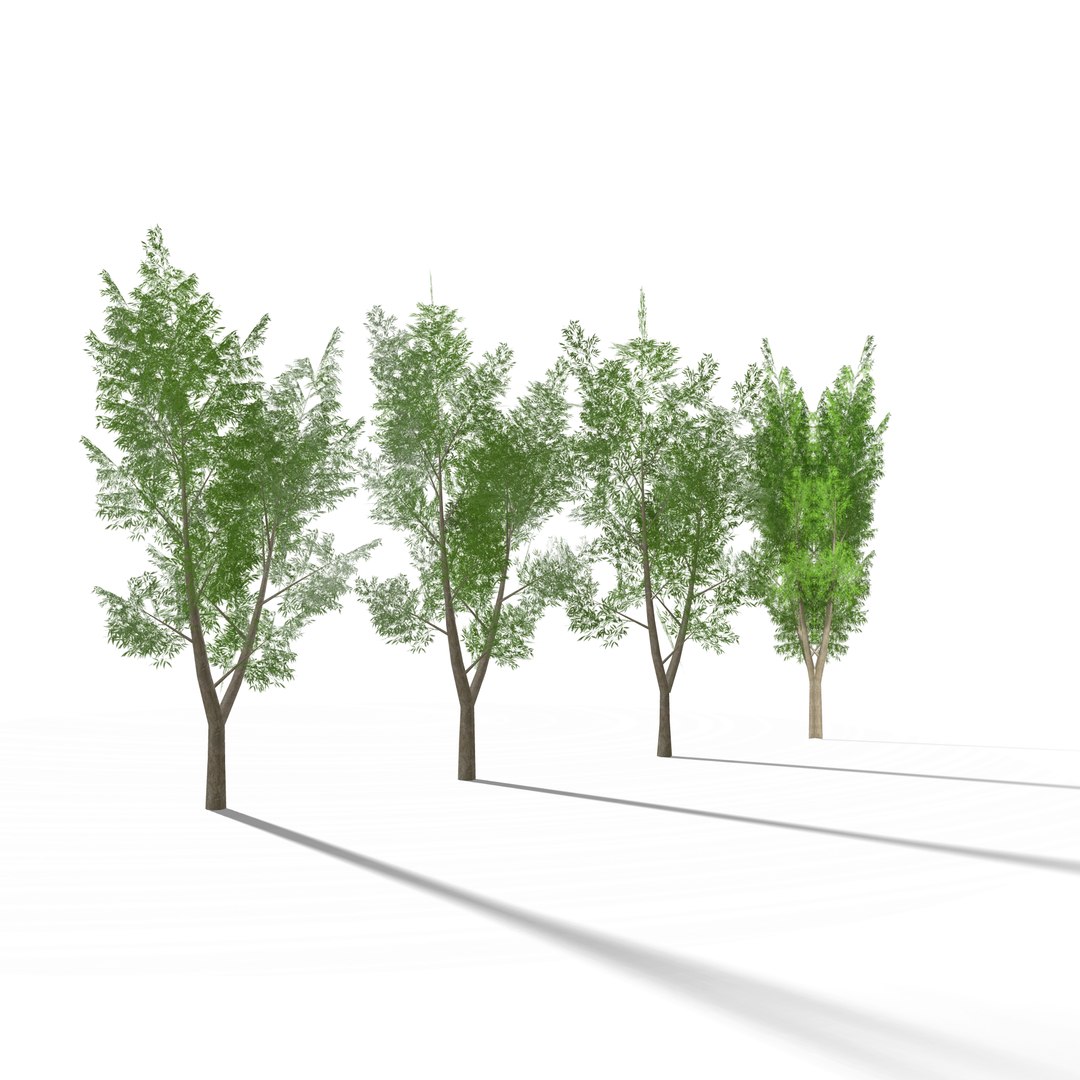 Landscape Trees 3D Model - TurboSquid 1248221