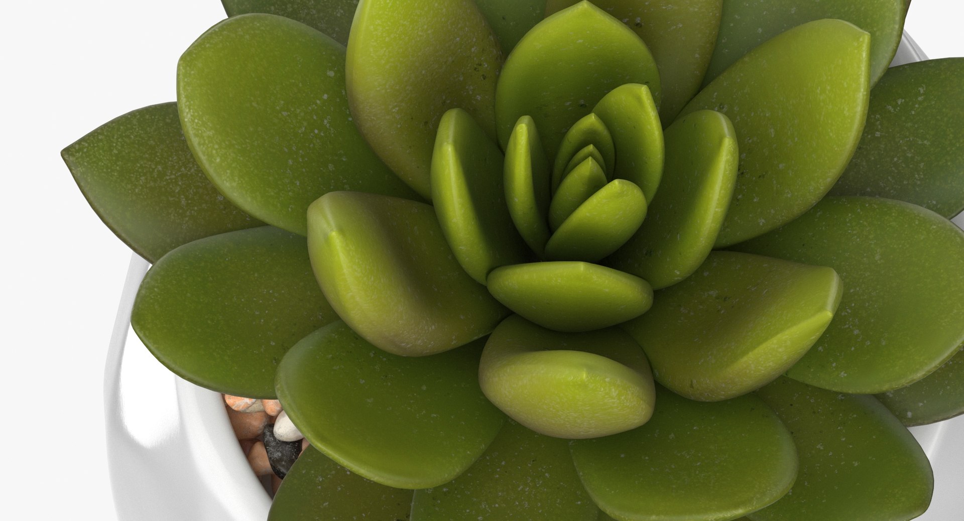 Prop02 Succulents In Pots Type 02 3D Model - TurboSquid 2143987