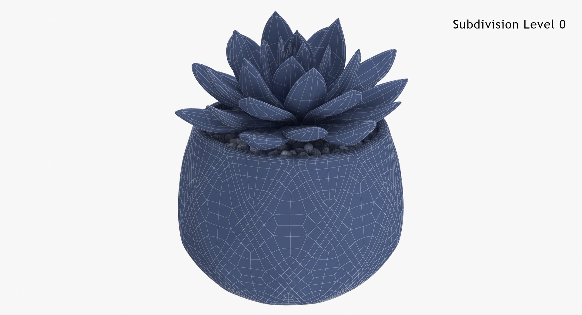 Prop02 Succulents In Pots Type 02 3D Model - TurboSquid 2143987