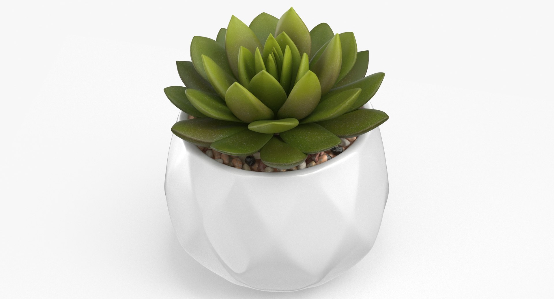 Prop02 Succulents In Pots Type 02 3D Model - TurboSquid 2143987