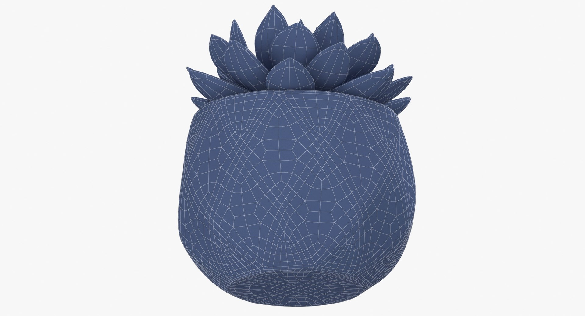 Prop02 Succulents In Pots Type 02 3D Model - TurboSquid 2143987