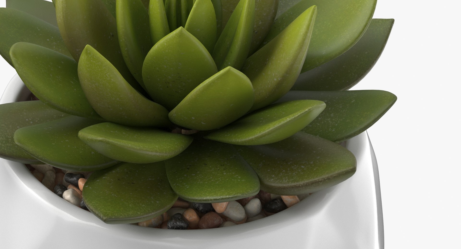 Prop02 Succulents In Pots Type 02 3D Model - TurboSquid 2143987