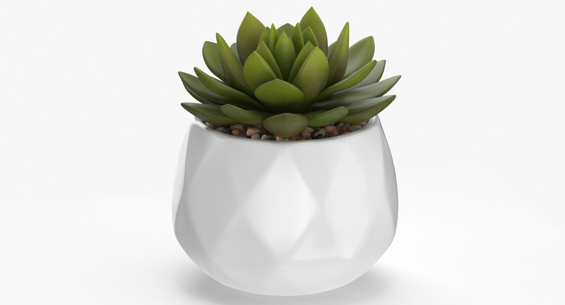 Prop02 Succulents In Pots Type 02 3D Model - TurboSquid 2143987