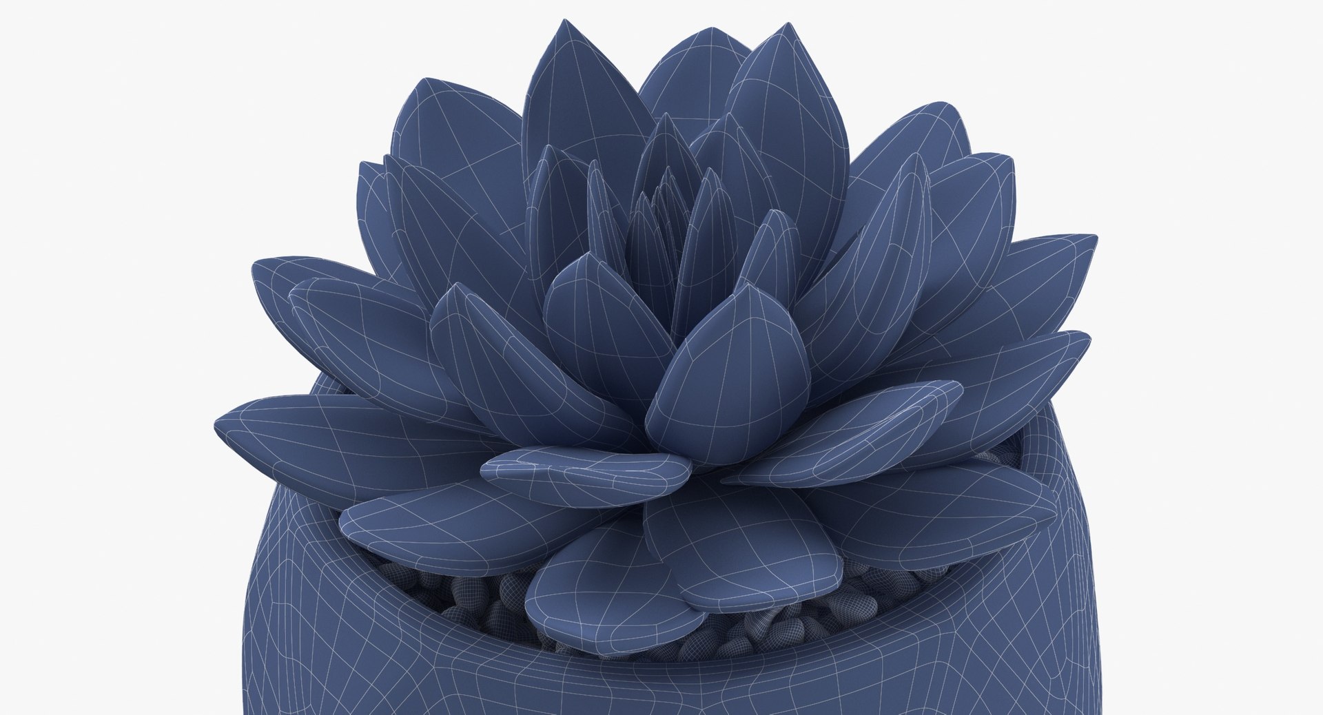 Prop02 Succulents In Pots Type 02 3D Model - TurboSquid 2143987