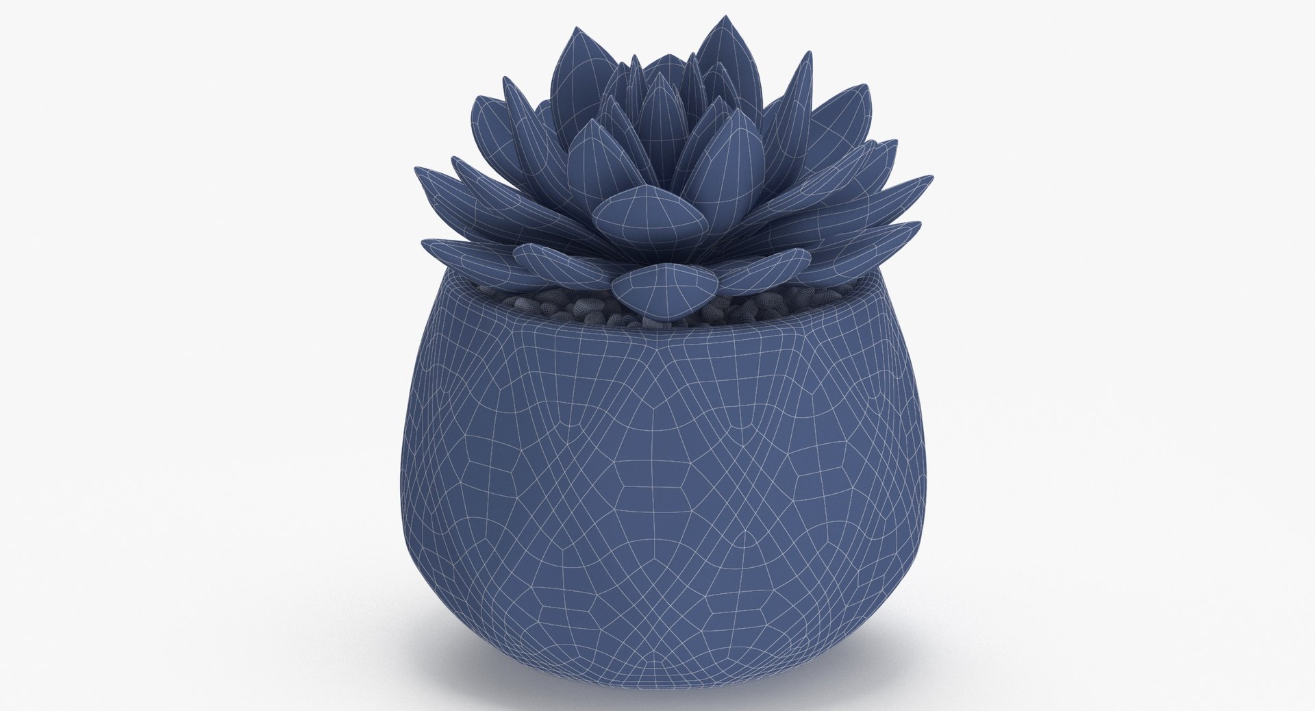 Prop02 Succulents In Pots Type 02 3D Model - TurboSquid 2143987