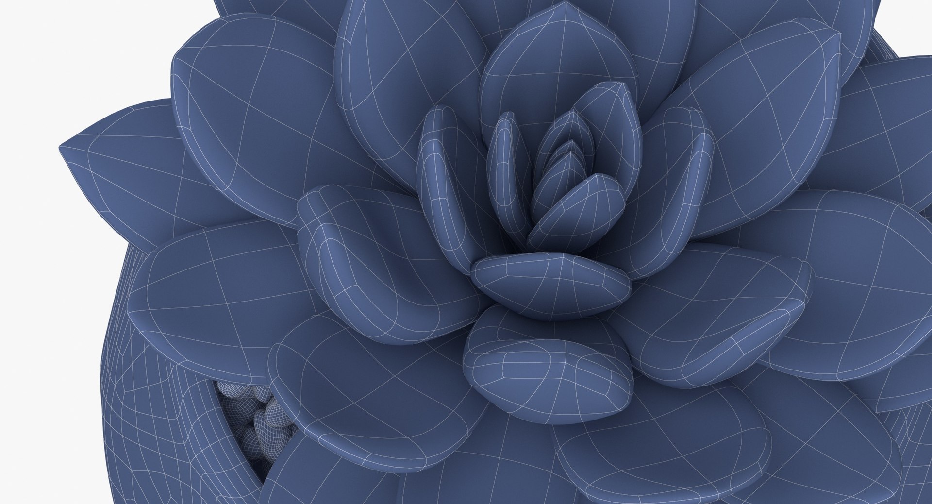 Prop02 Succulents In Pots Type 02 3D Model - TurboSquid 2143987