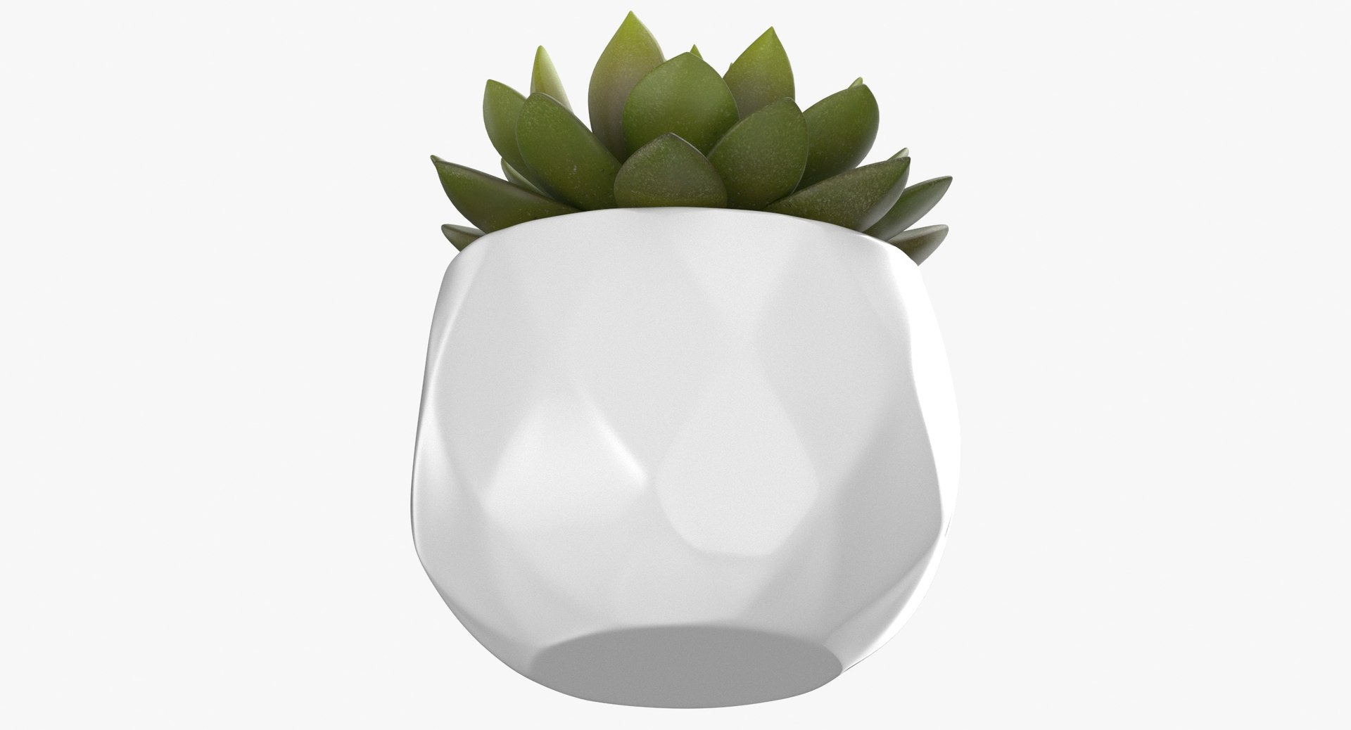 Prop02 Succulents In Pots Type 02 3D Model - TurboSquid 2143987