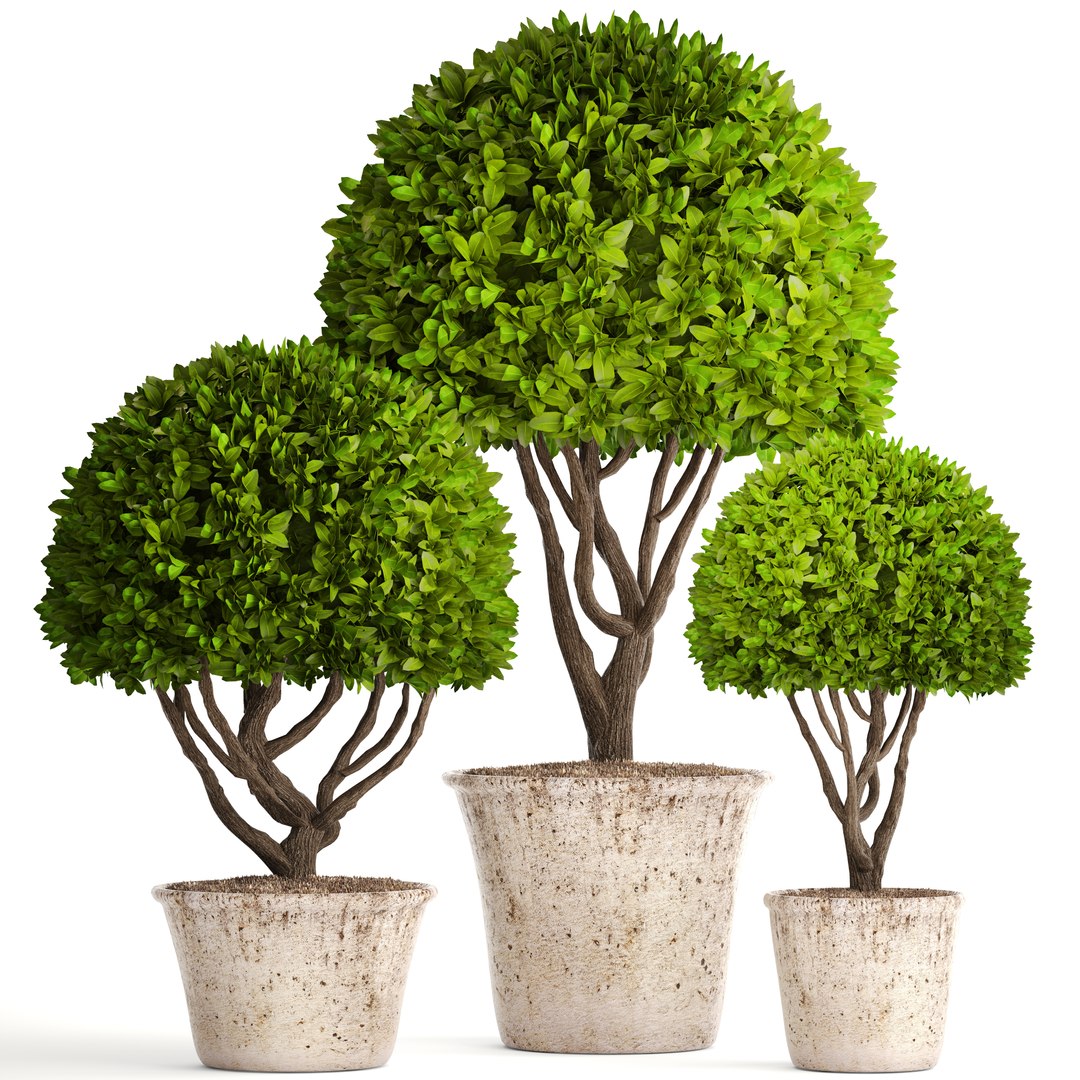 Topiary Trees Model - TurboSquid 1224029