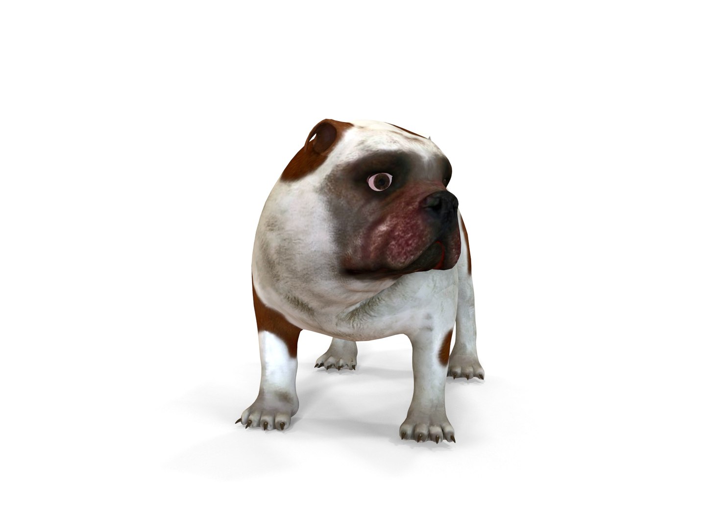 Bulldog Rigged Max