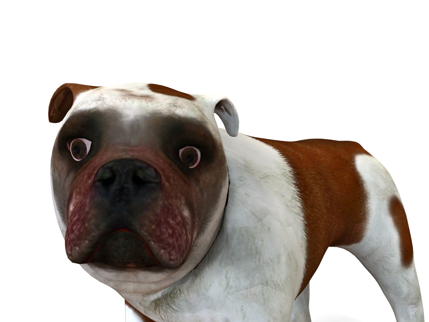Bulldog Rigged Max