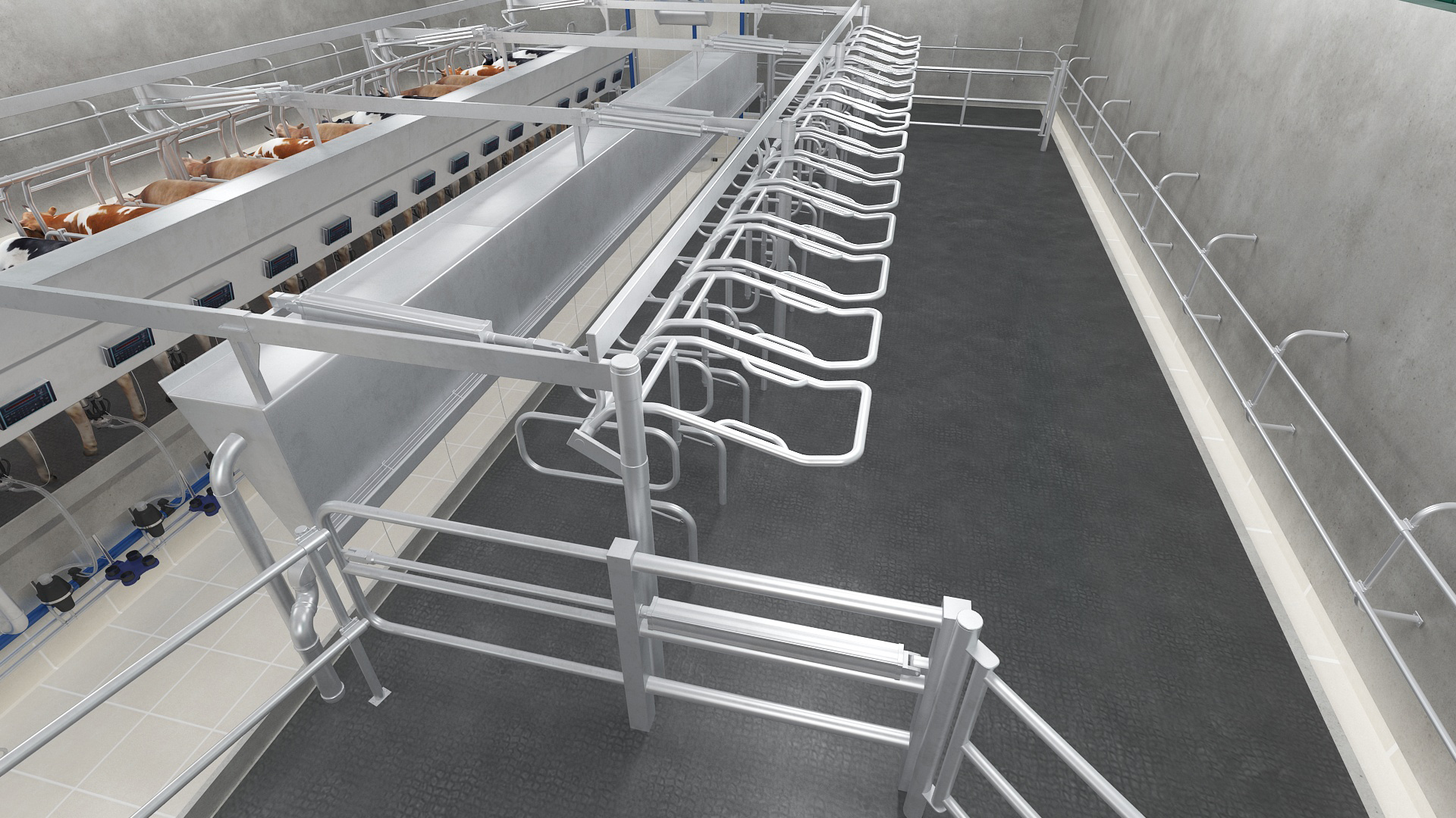 Parallel Milking Parlour