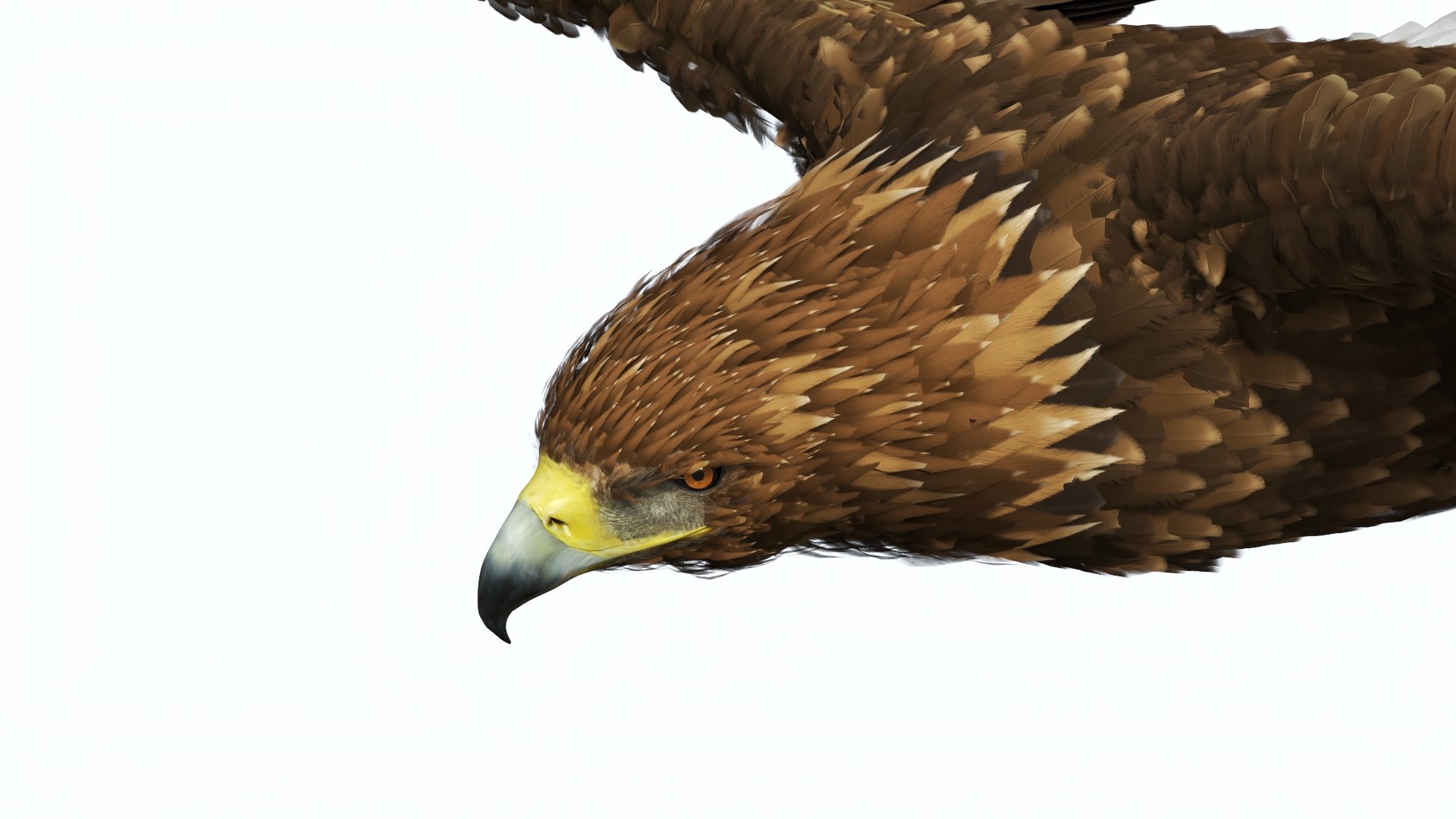 Realistic Golden Eagle Flying Model - TurboSquid 2249625